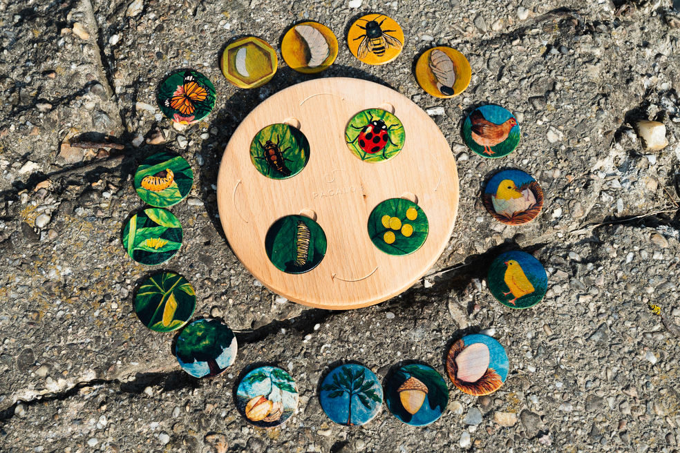 Set ciclu de viata • pui, ghinda, fluture, albina si buburuza - Pagalou